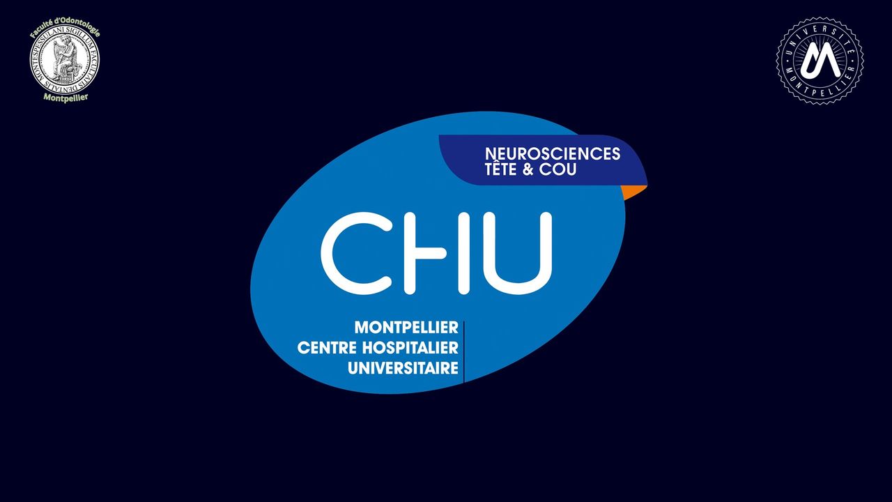 Plateforme vidéo de l'université de Montpellier (Pod) - Présentation Du ...